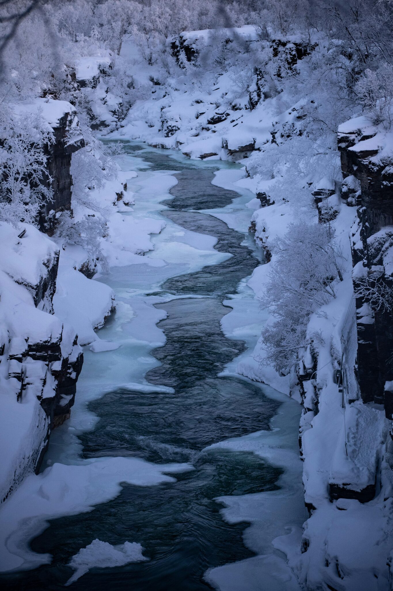Northern Lights - Lapland Adventure